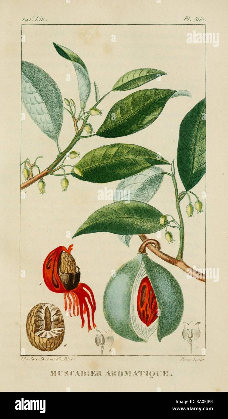 Flore pittoresque et médicale des Antilles, Paris Pichard,1821-1829 ...