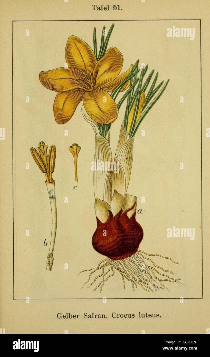 Annotated form hi-res stock photography and images - Alamy