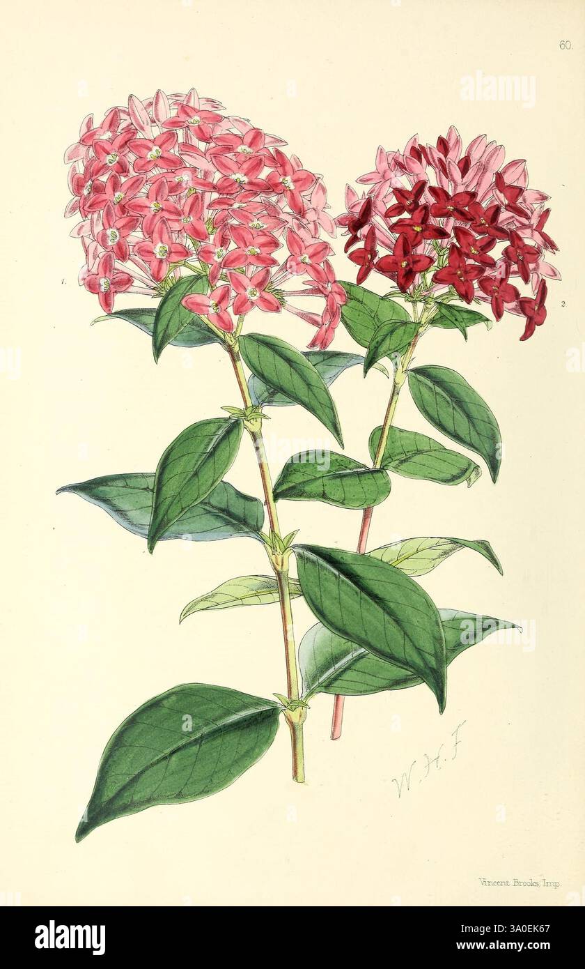 Slightly tubular shape emerges hi-res stock photography and images - Alamy