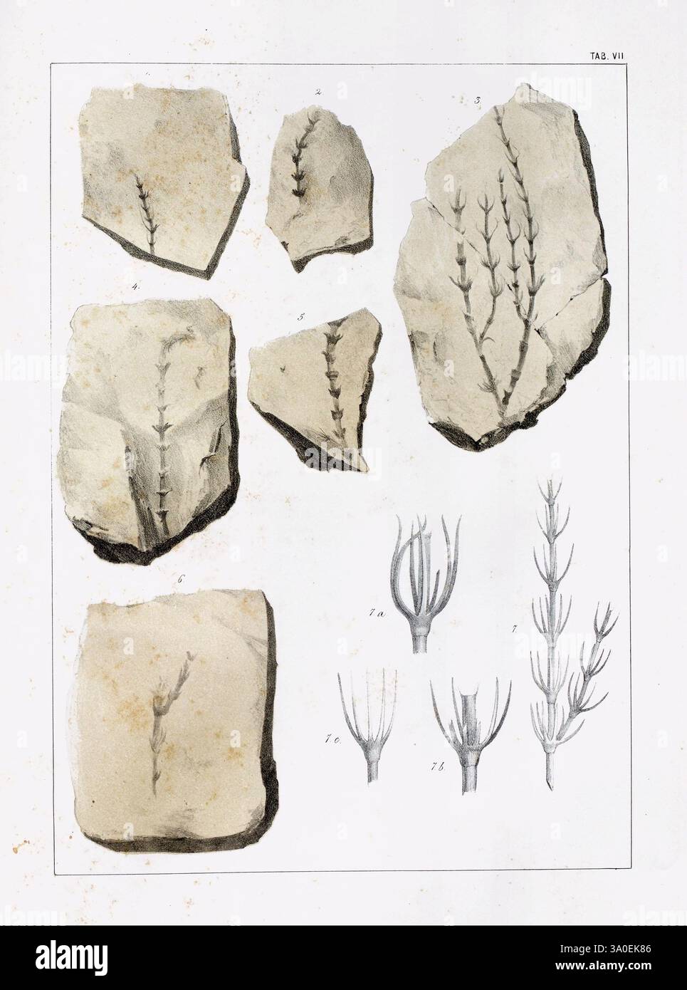 Providing reference labels hi-res stock photography and images - Alamy