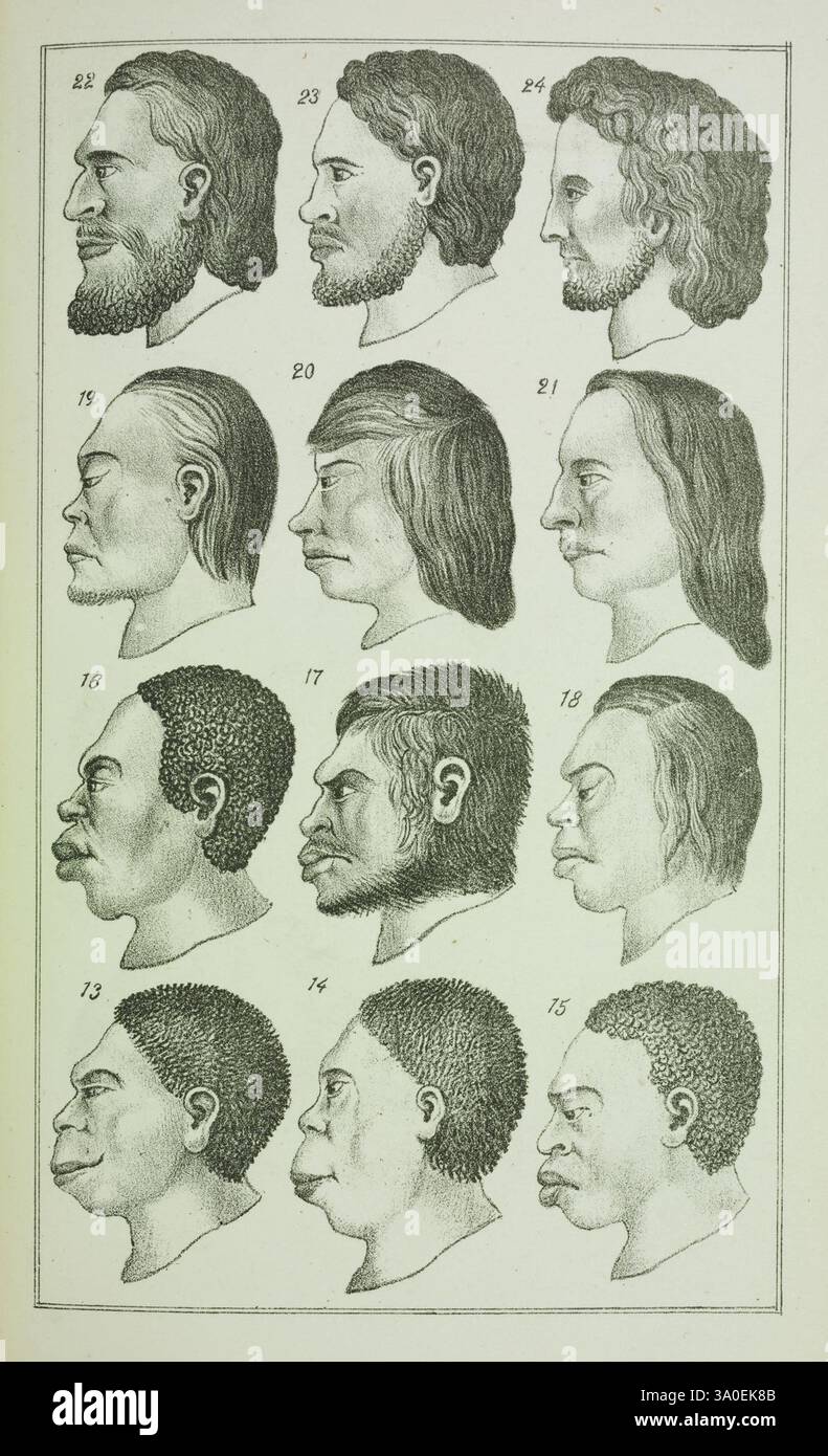 Diversity in hair texture ranges hi-res stock photography and images ...