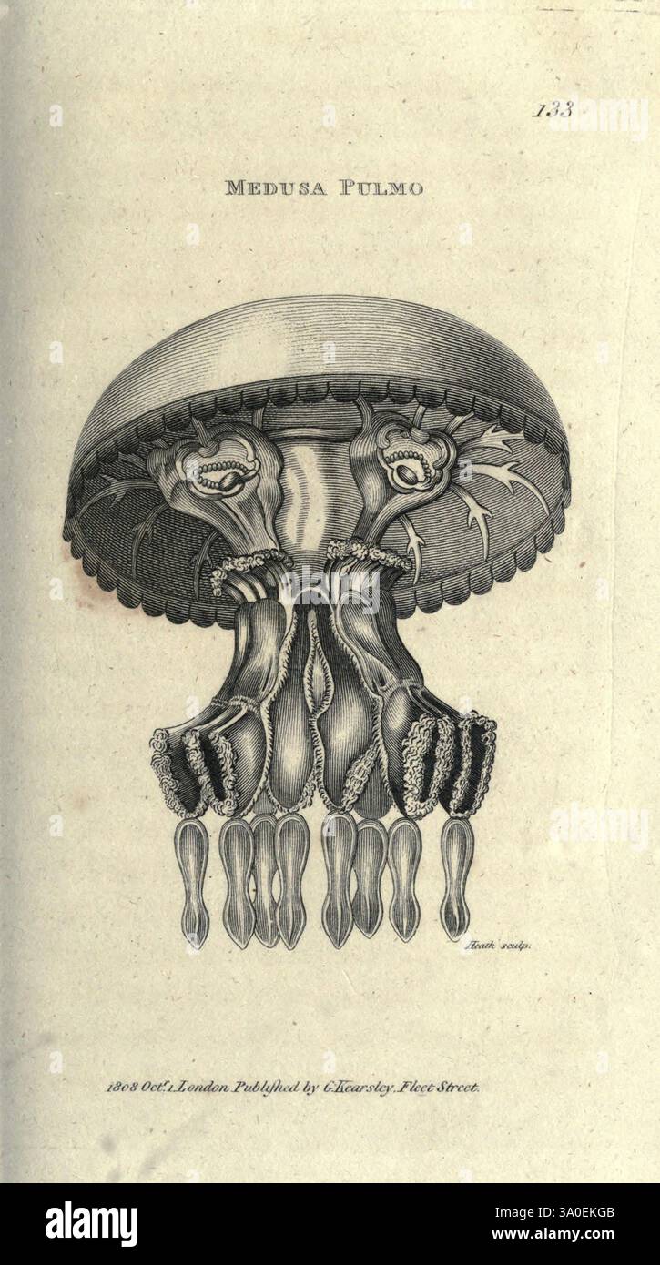 Zoological, lectures, delivered, at, the, Royal, Institution, London ...