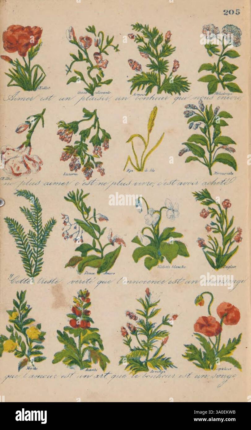 Descriptive labels in elegant handwriting hi-res stock photography and images - Alamy