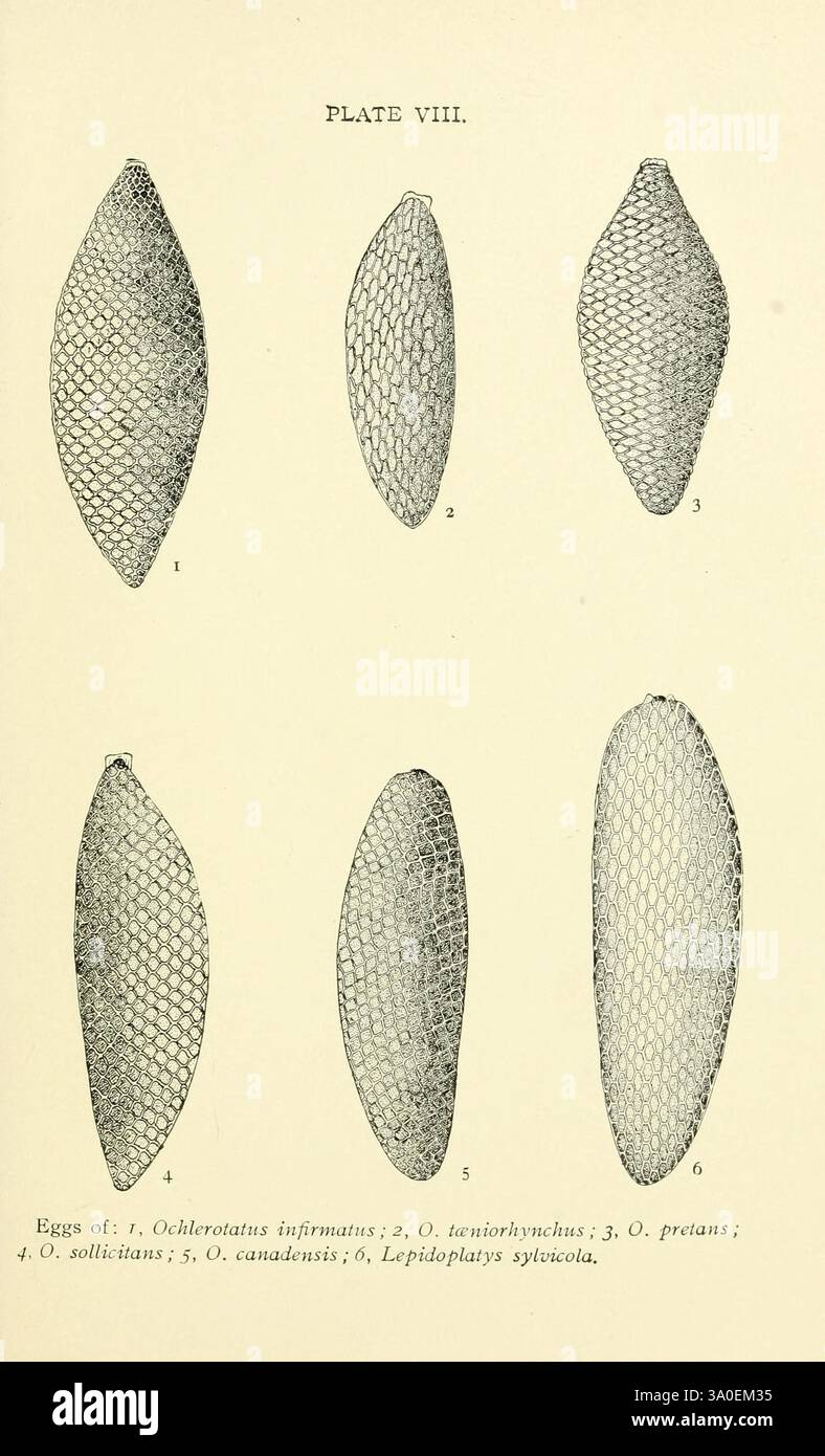 4 indicate different specimens hi-res stock photography and images - Alamy