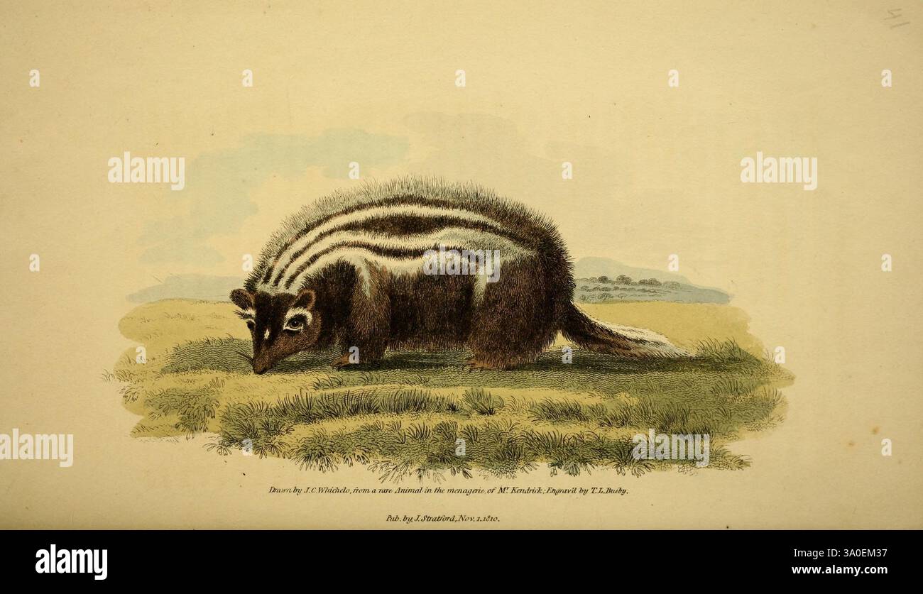 Arcana, or The Museum of Natural History, London, 1811, Natural History ...