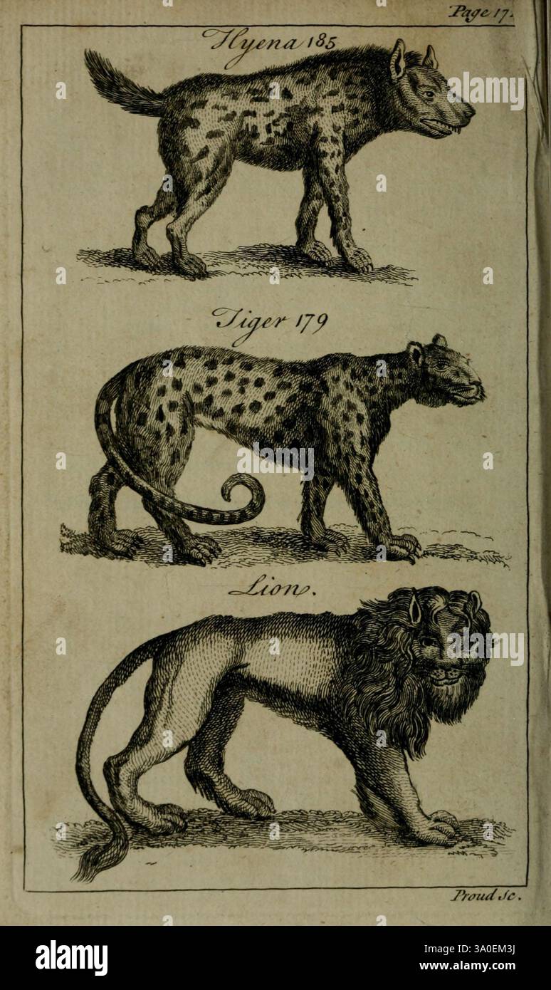 A new and accurate system of natural history v.1 London, Printed for J ...