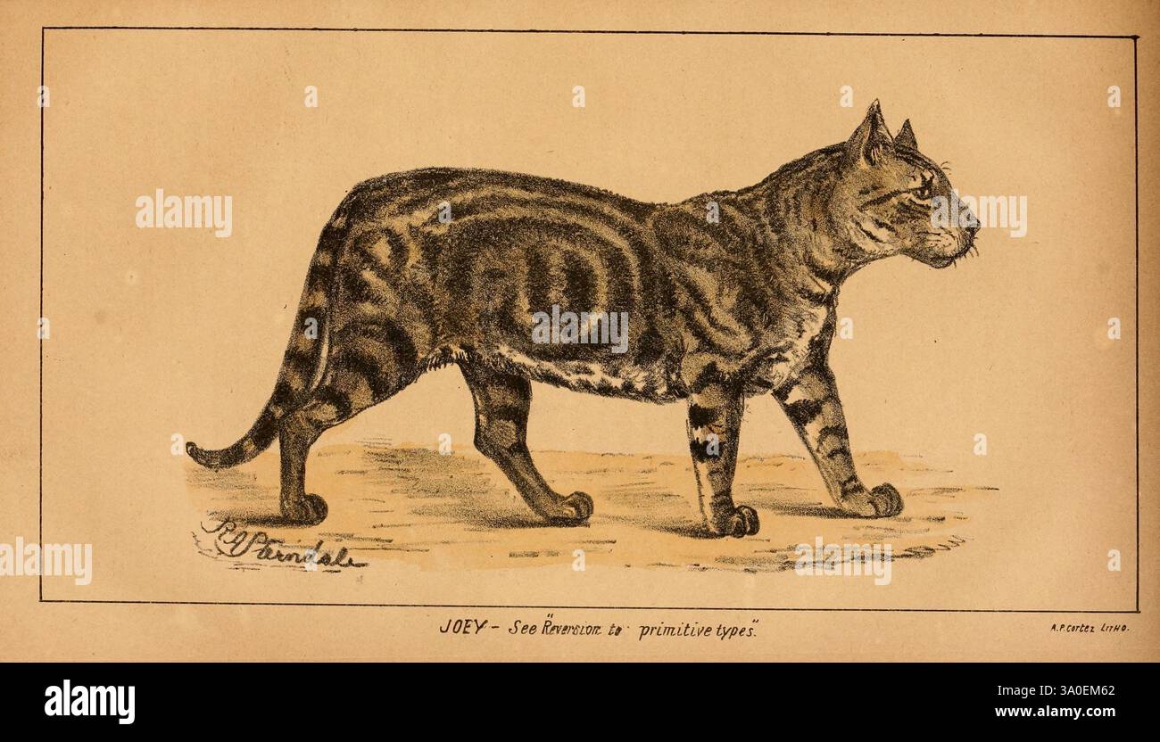 The, Journal, of, the, Bombay, Natural, History, Society, Bombay, The ...