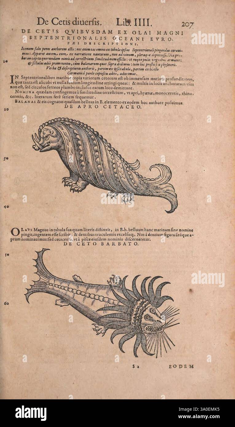 Imaginative interpretations of marine life in earlier scientific hi-res ...