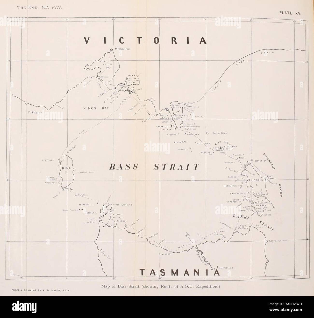 The Emu, Melbourne, Royal Australasian Ornithologists Union, 1901 ...
