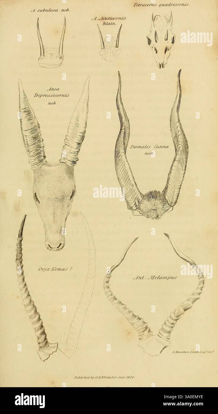 The animal kingdom, London, Printed for G.B. Whittaker, 1827-1835 ...