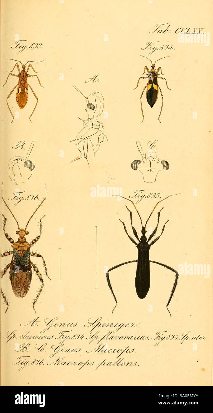 Capturing various angles hi-res stock photography and images - Alamy