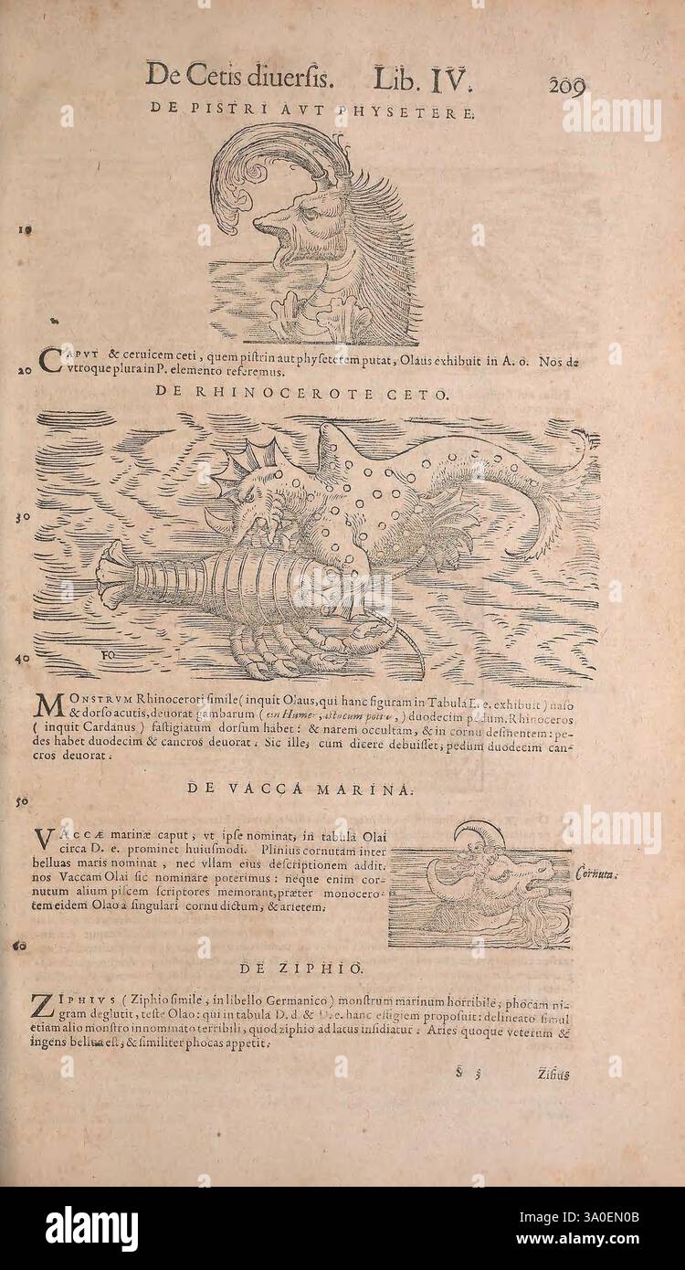 Featuring intricate depictions of marine creatures hi-res stock ...
