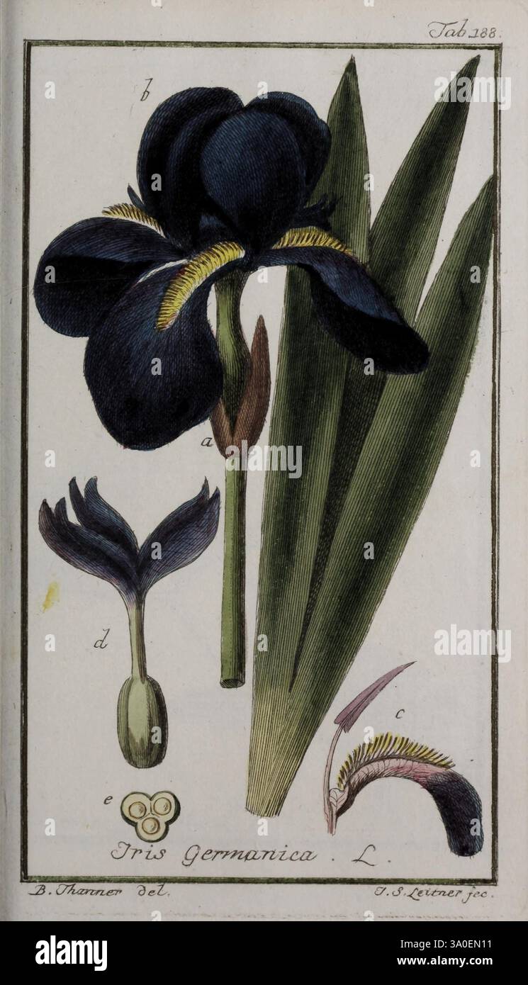 Icones Plantarum Medicinalium, Nürnberg, auf Kosten der Raspischen ...