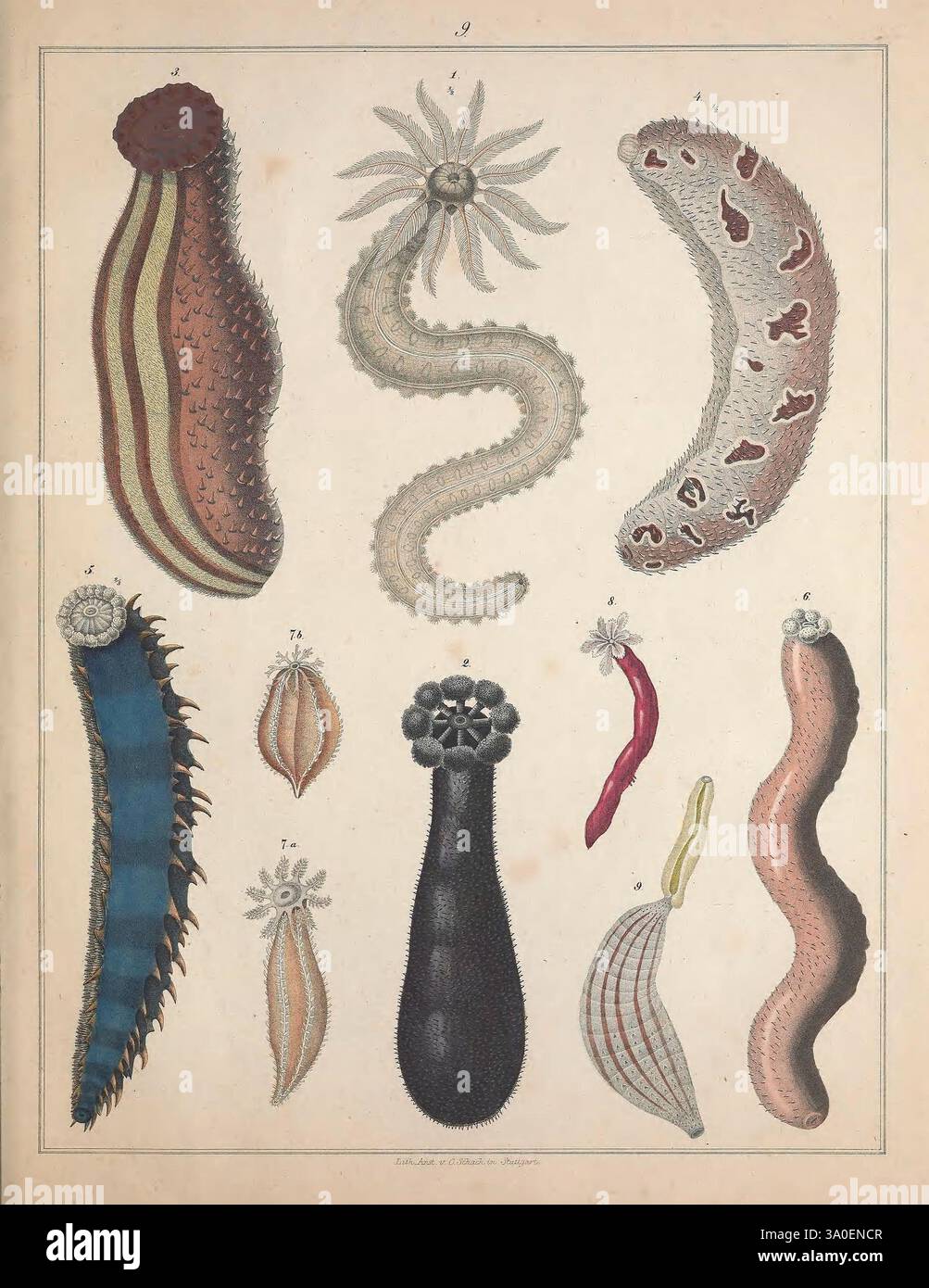 Tubular shapes alongside hi-res stock photography and images - Alamy