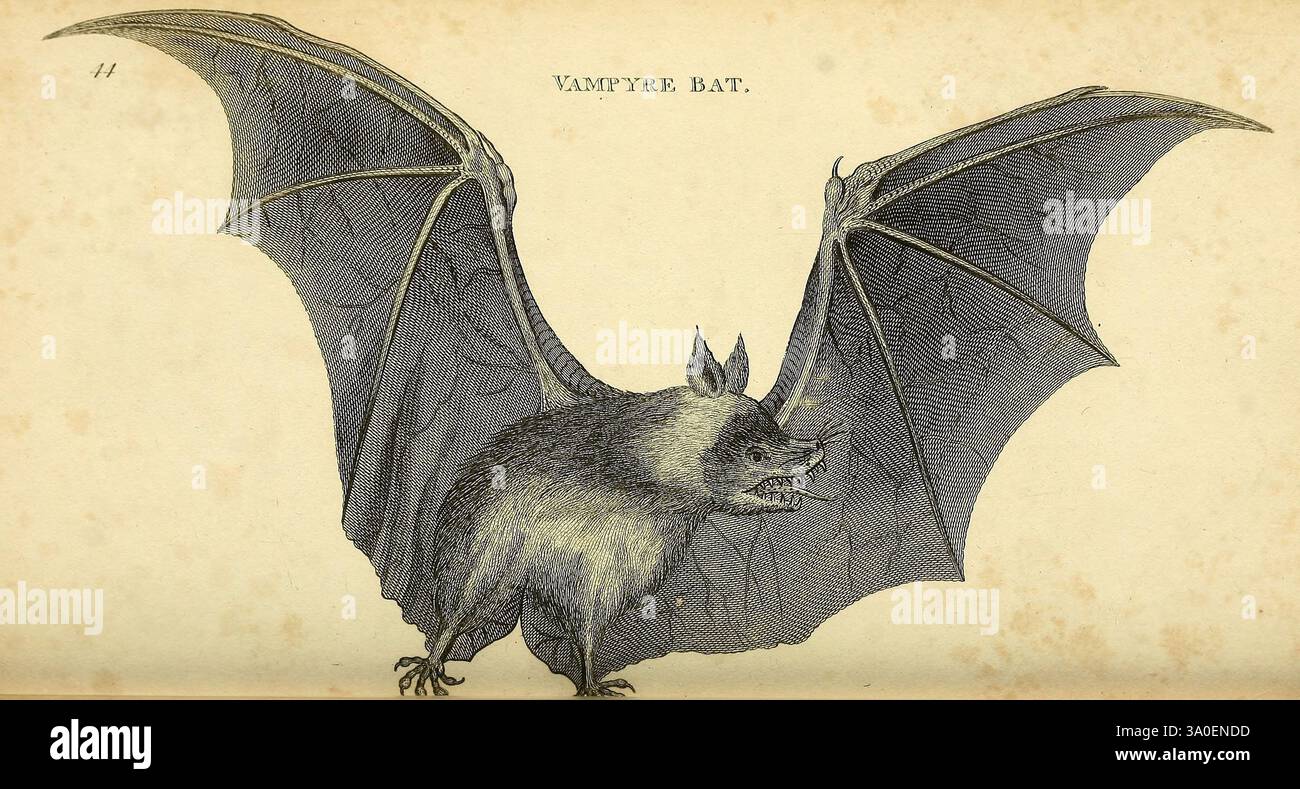 General zoology, or Systematic natural history, London, Printed for G ...