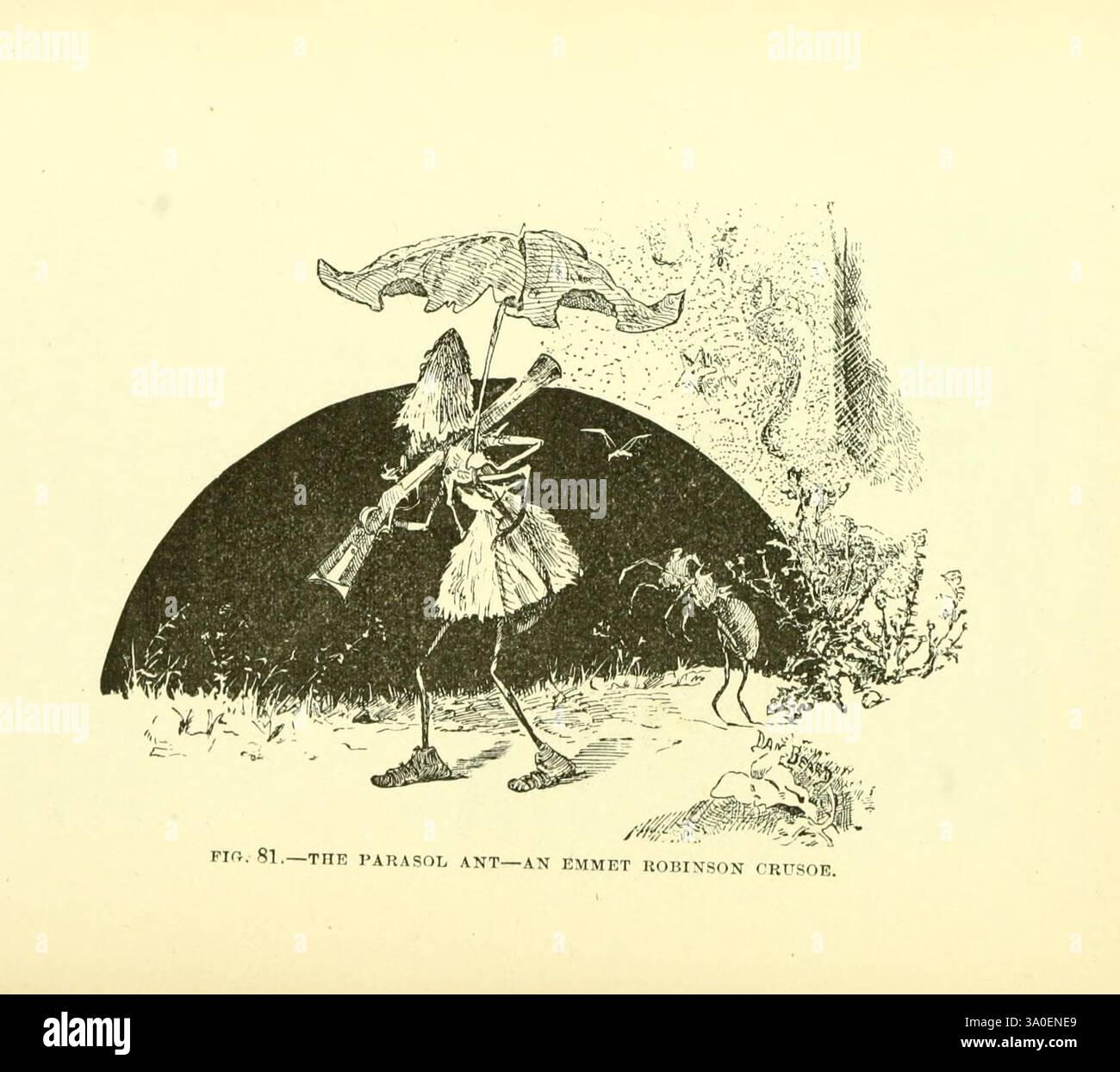 Tenants of an old farm, New York, Fords, Howard & Hulbert, 1885 1884 ...