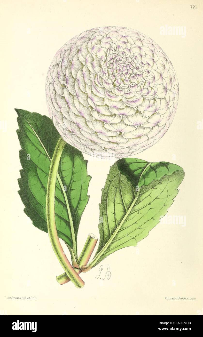 Intricate layers resembling hi-res stock photography and images - Alamy