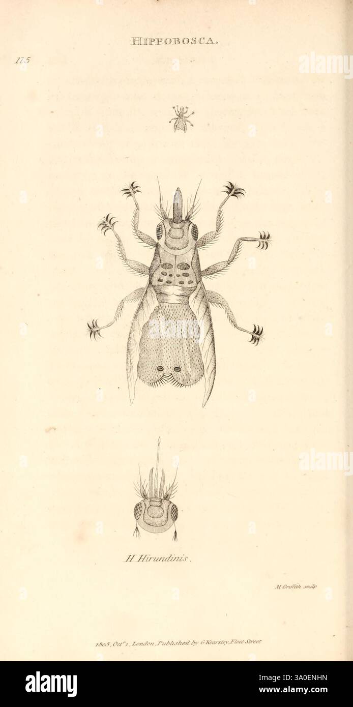 General zoology, or Systematic natural history London, Printed for G ...