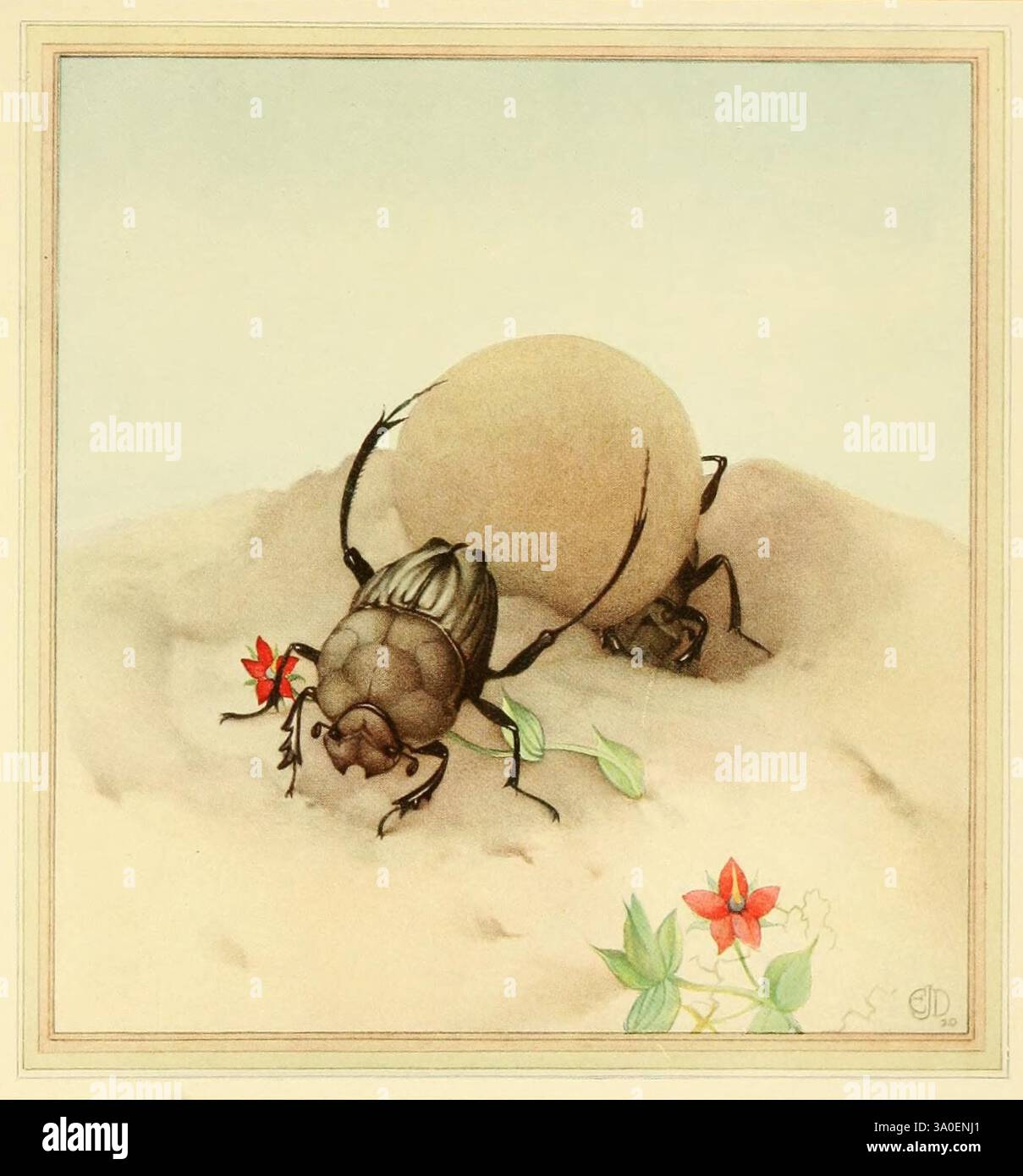 Edward julius detmold hi-res stock photography and images - Alamy