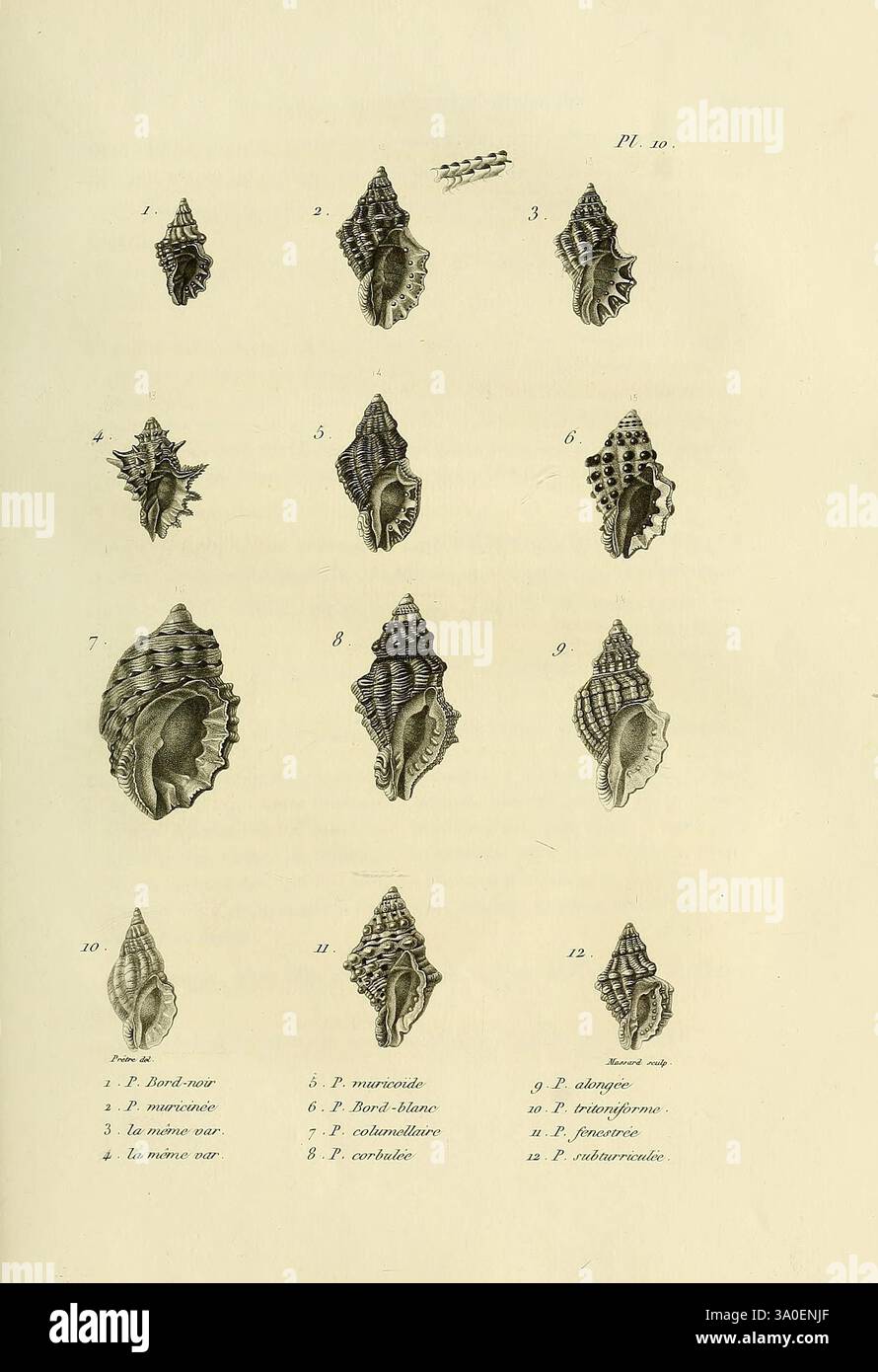 Identifying annotations hi-res stock photography and images - Alamy