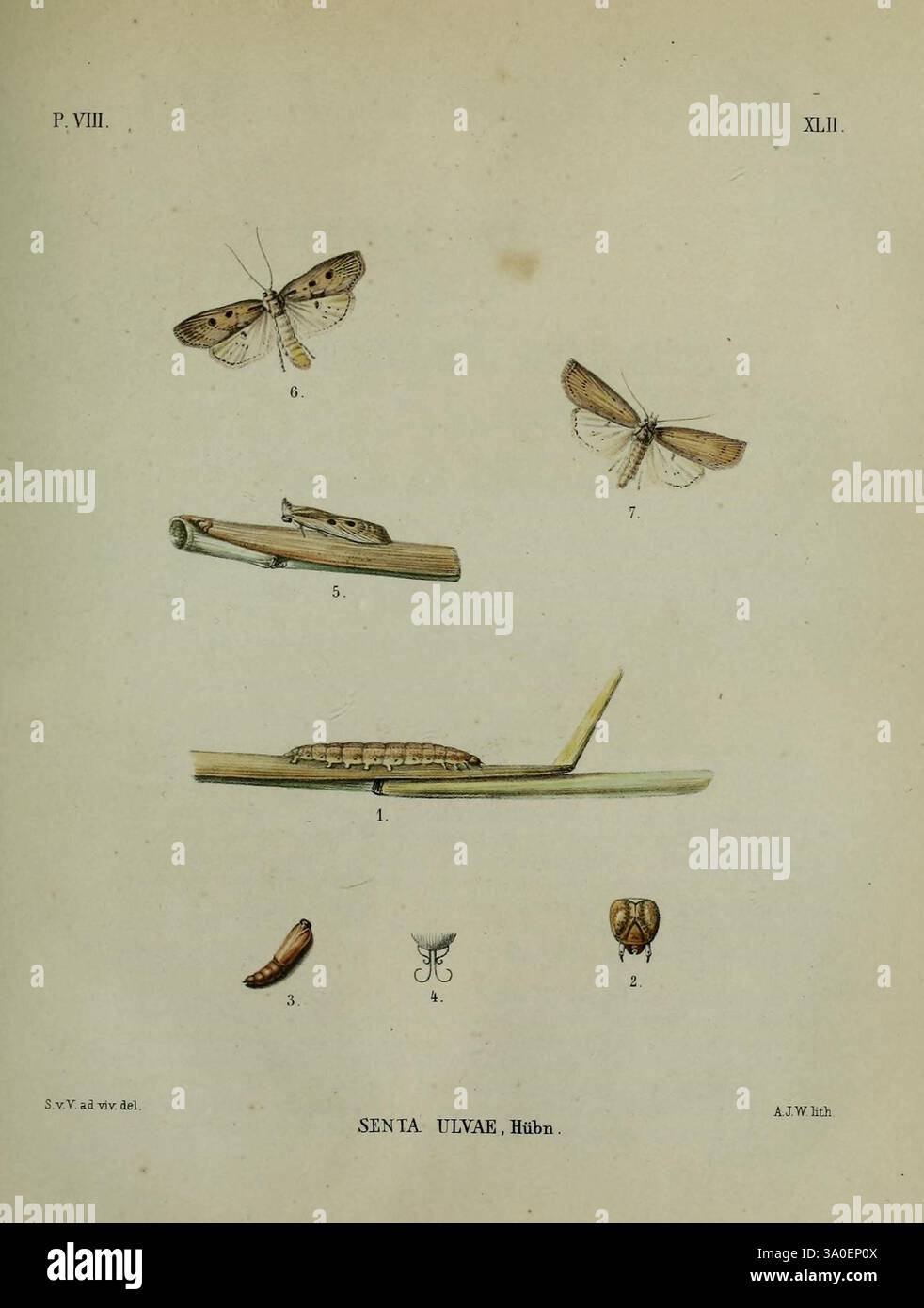 Systematic look hi-res stock photography and images - Alamy