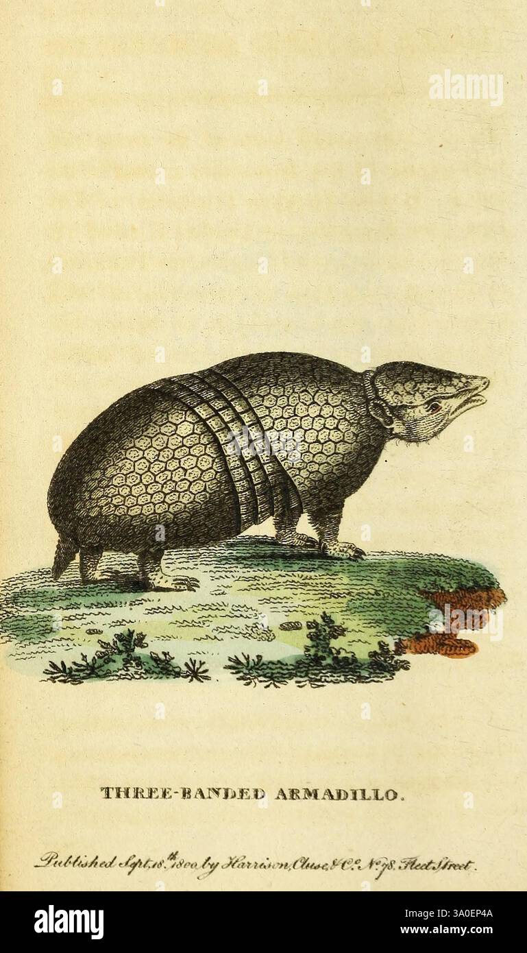 The Naturalist's Pocket Magazine or compleat cabinet of the curiosities ...