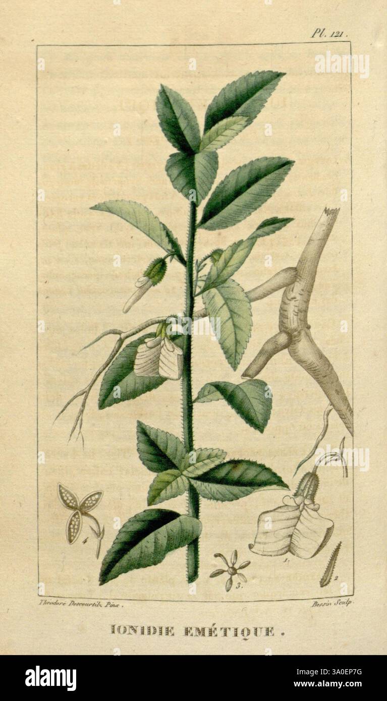 Unique bell shaped forms hi-res stock photography and images - Alamy