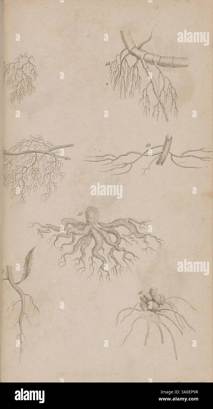 Network reveals thicker hi-res stock photography and images - Alamy