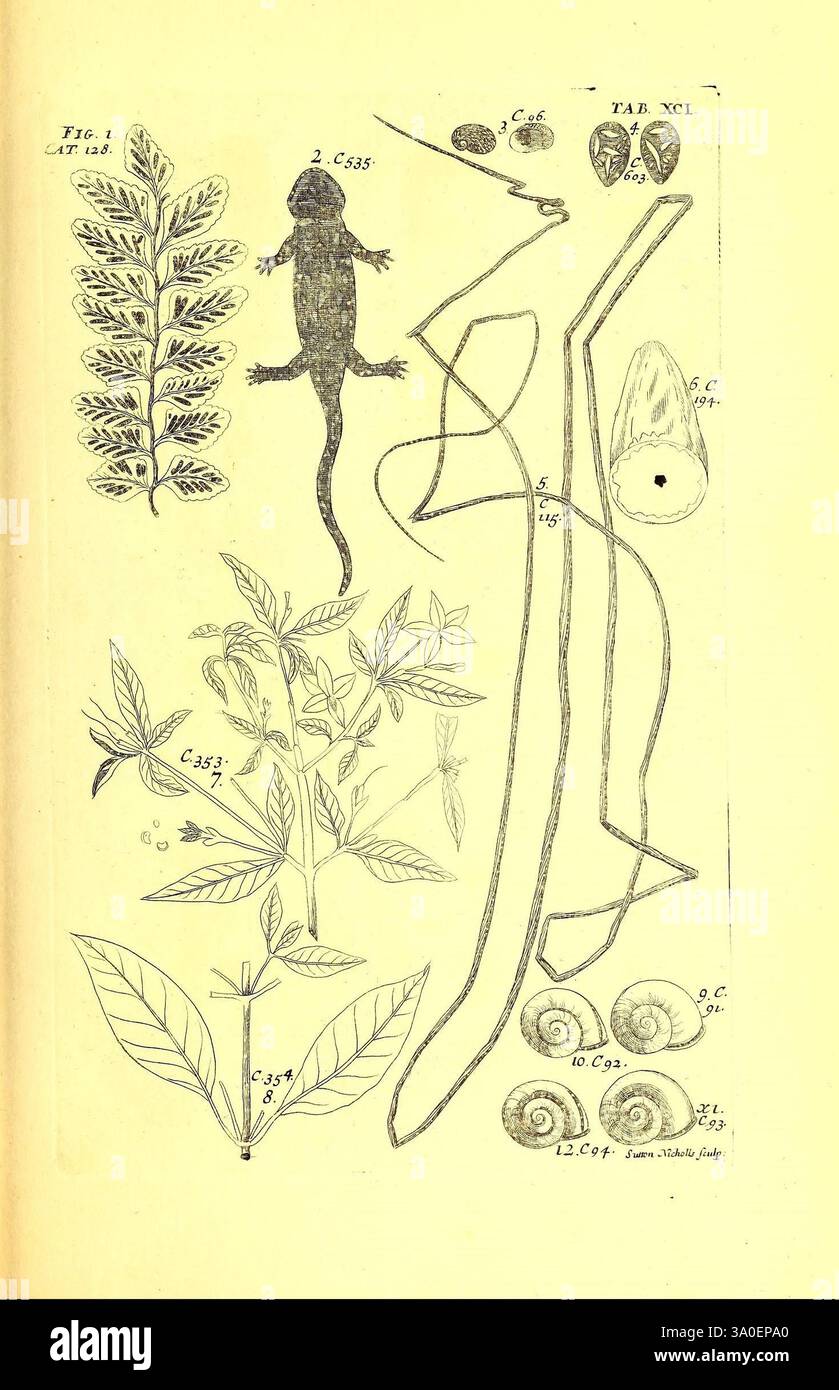 Circular shapes suggestive of seeds hi-res stock photography and images ...