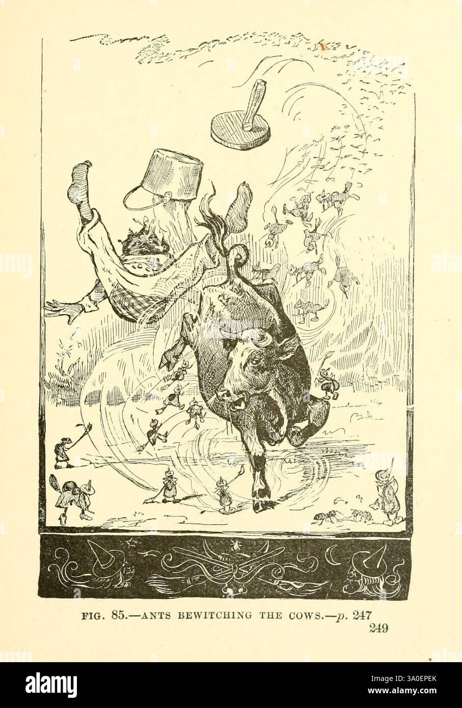 Quirky portrayal of natures smallest creatures hi-res stock photography ...