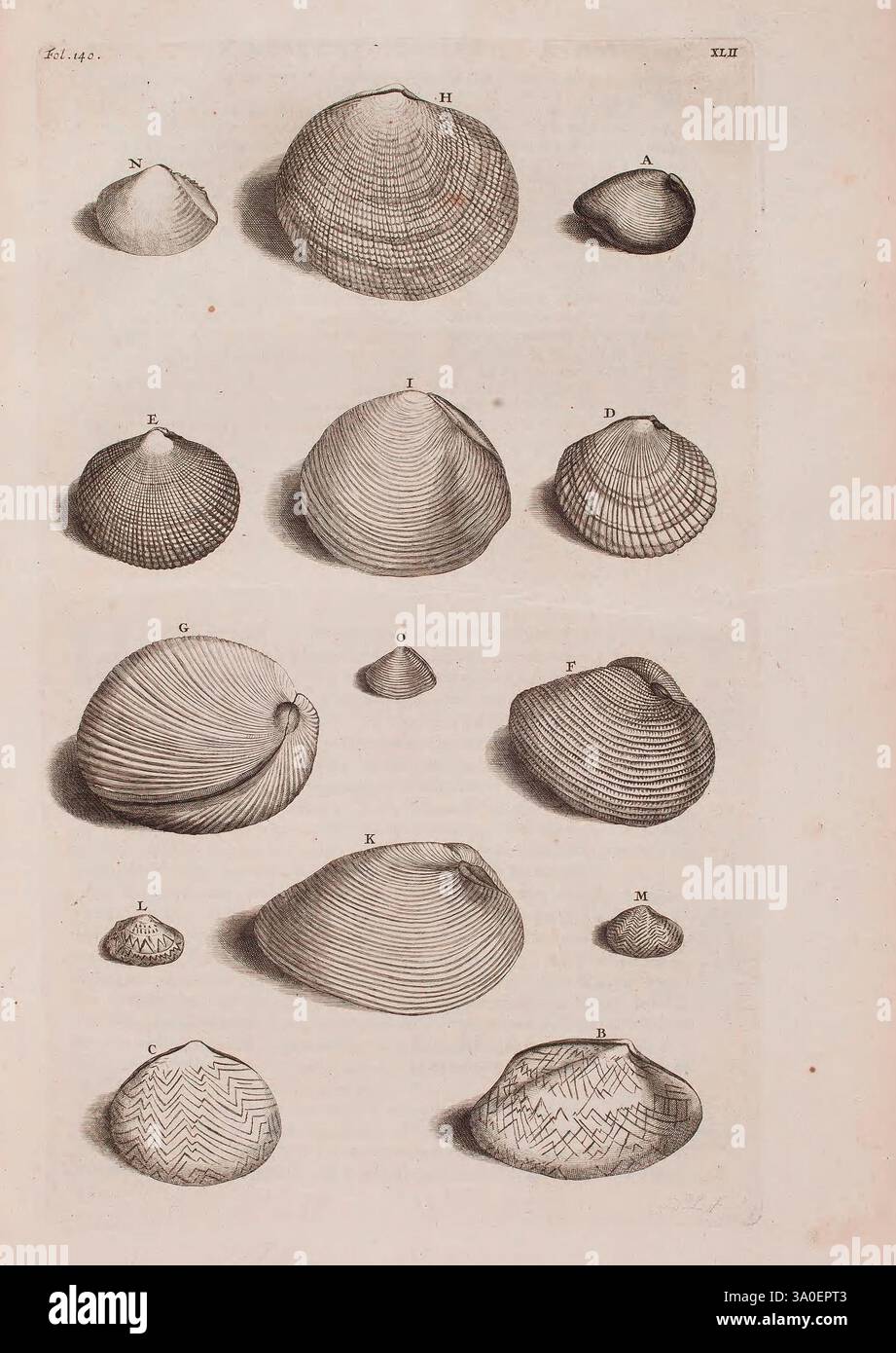 Showcasing natural variations in texture hi-res stock photography and ...