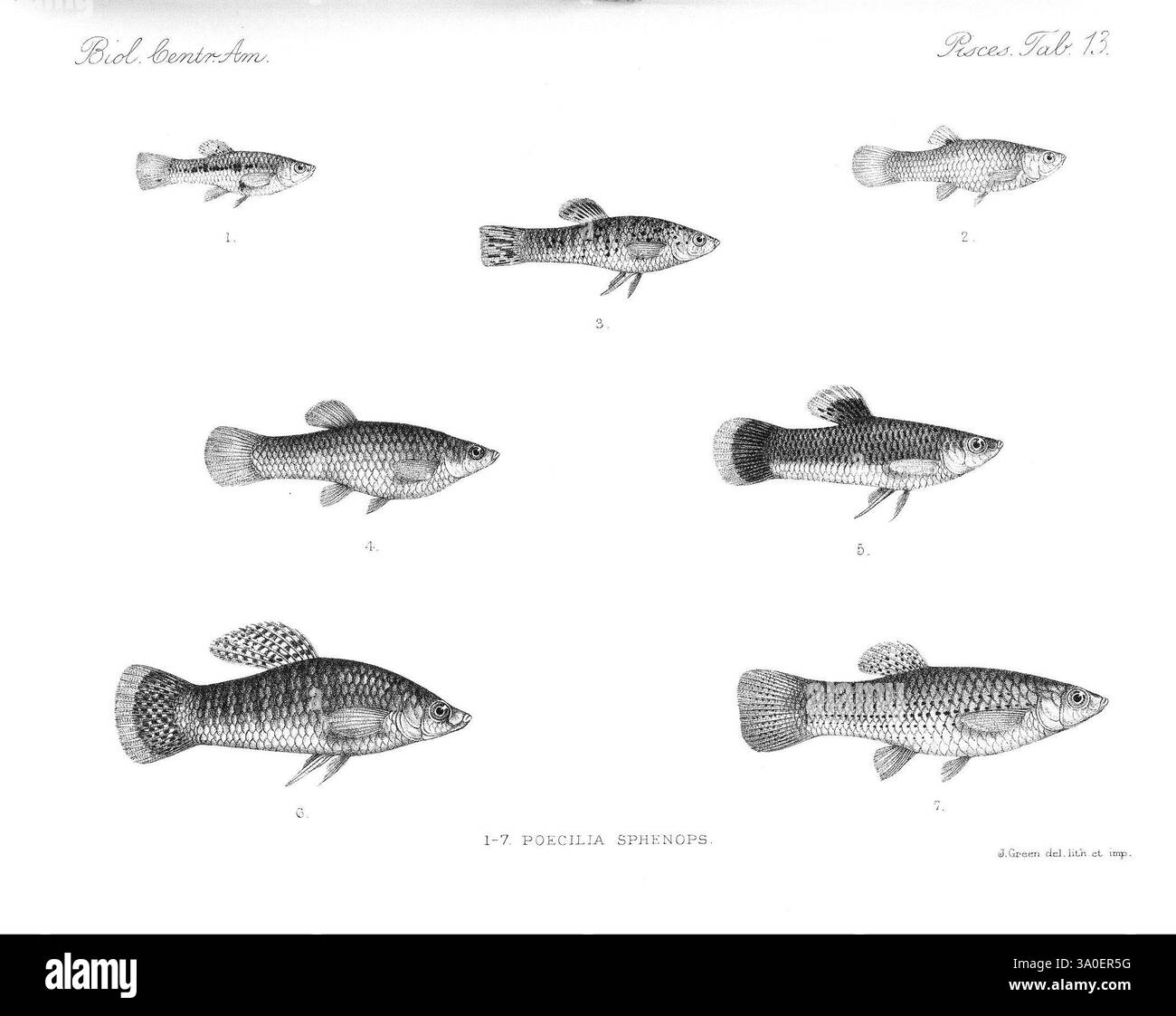 Depiction highlights different angles hi-res stock photography and ...