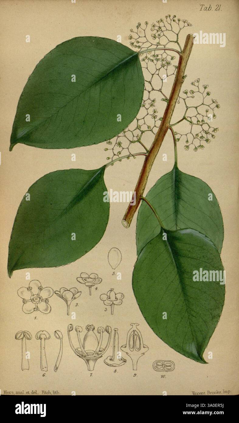 Various intricate diagrams represent hi-res stock photography and ...