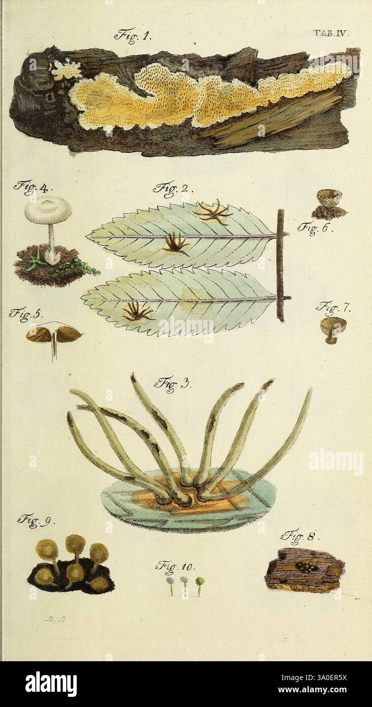 Diverse range of subjects hi-res stock photography and images - Alamy