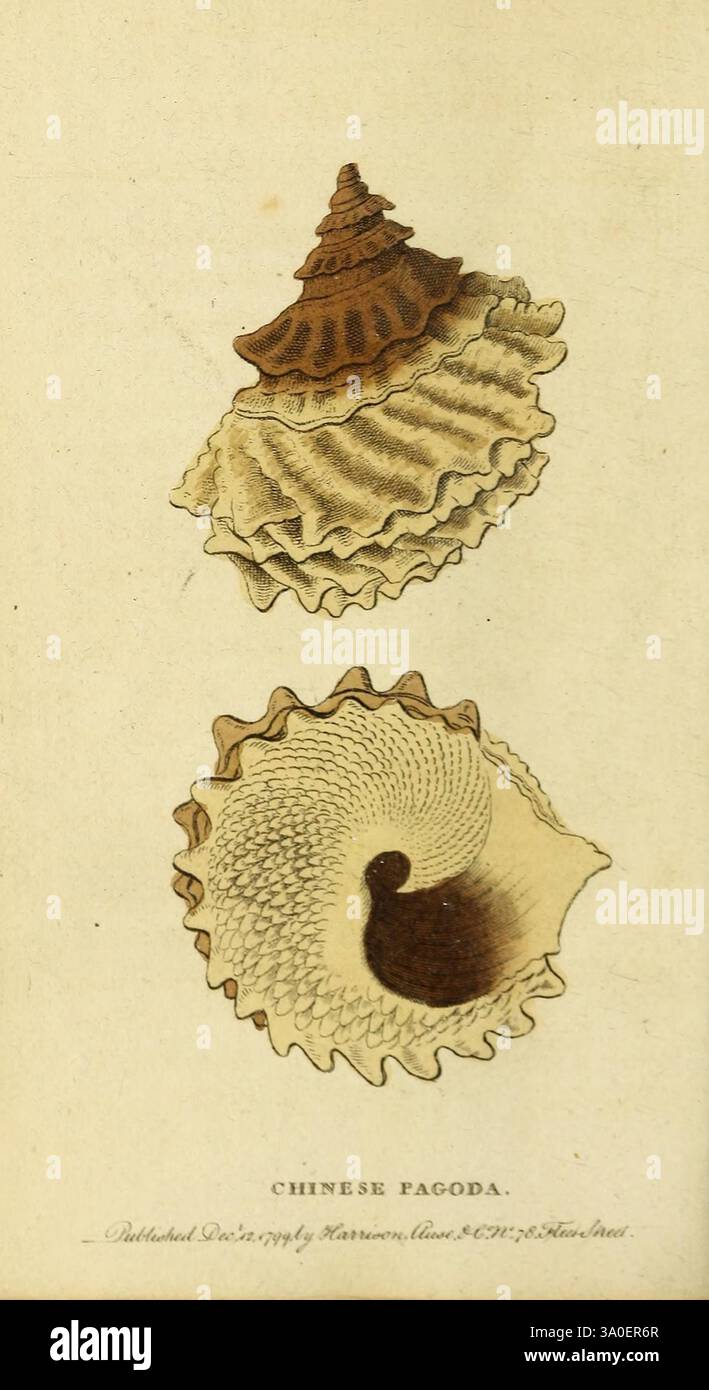 The Naturalist's Pocket Magazine or Compleat Cabinet of the Curiosities ...