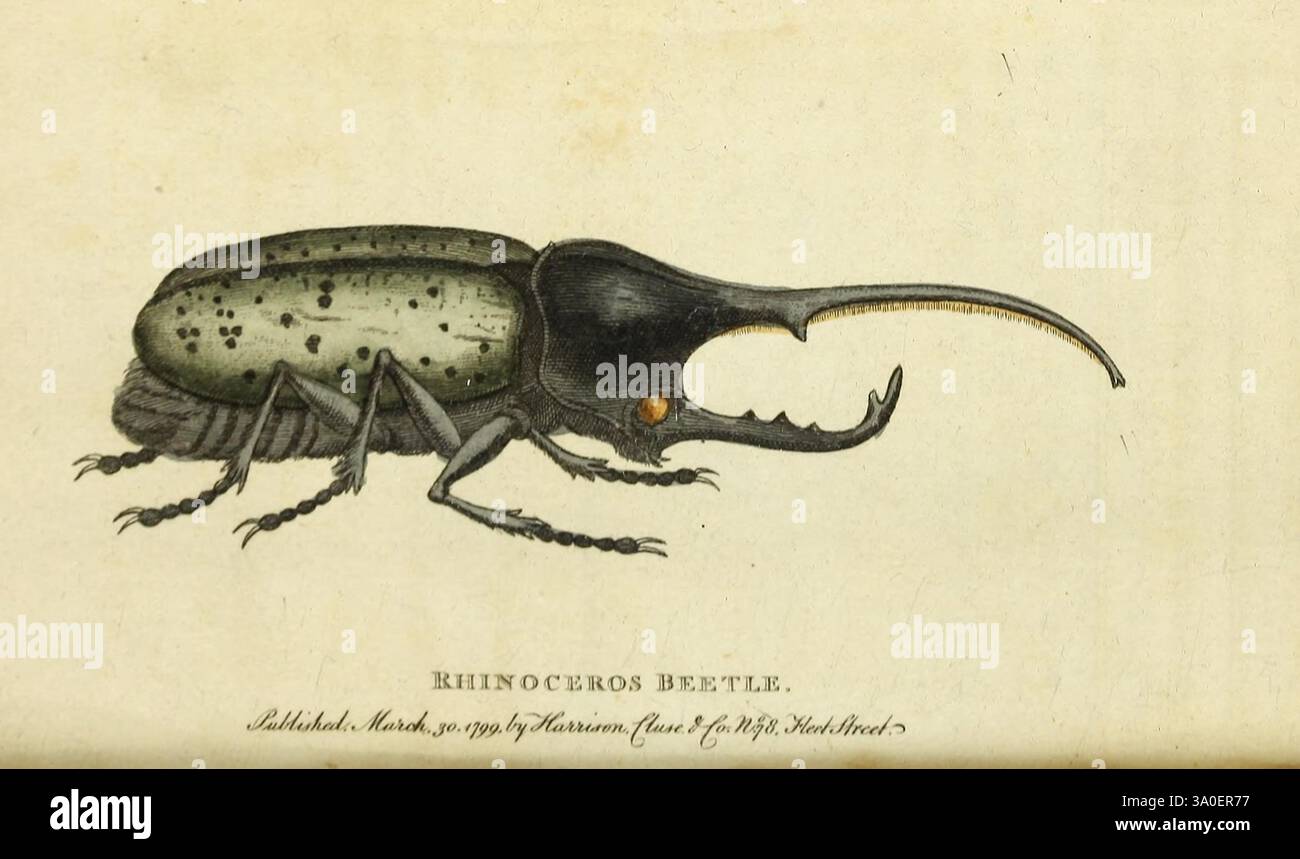 The Naturalist's Pocket Magazine or compleat cabinet of the curiosities ...