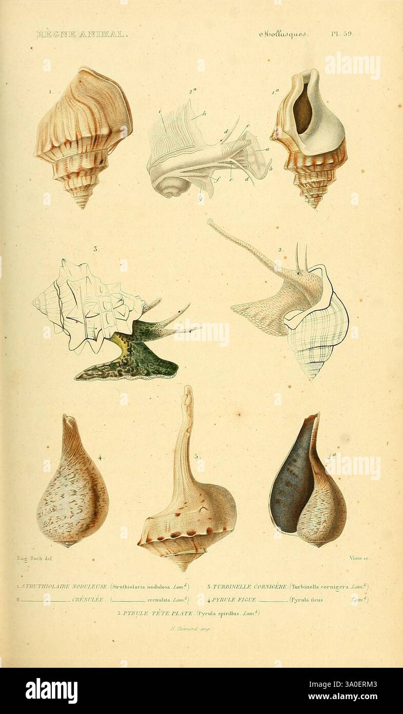 Alongside additional unique shapes hi-res stock photography and images ...