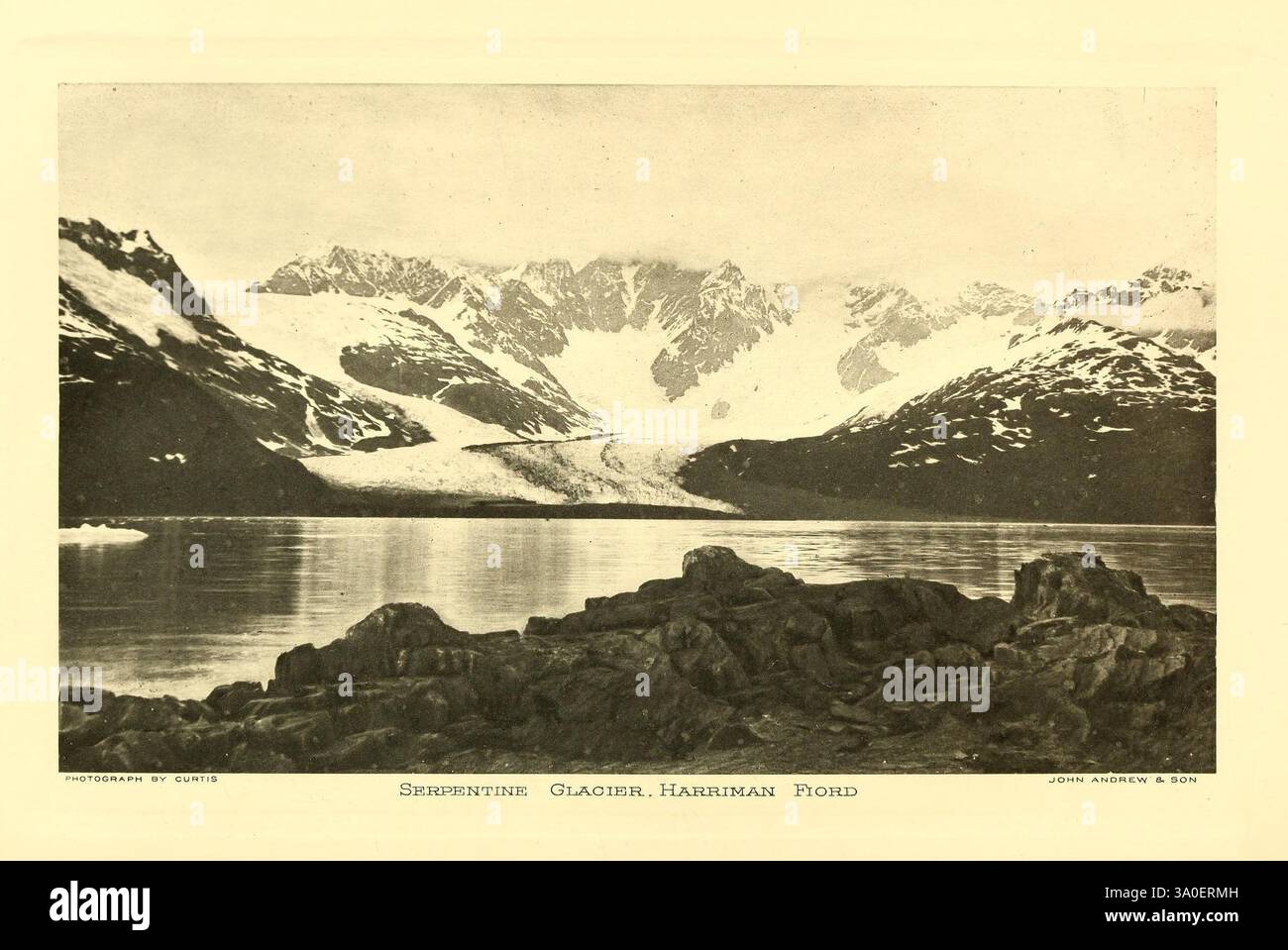 Harriman Alaska series Washington 1910-1914 Alaska Natural History ...