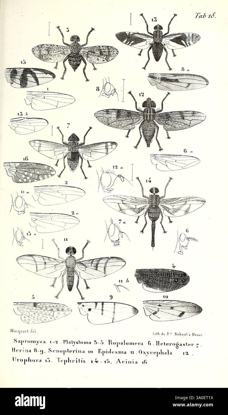 Diverse forms represented hi-res stock photography and images - Alamy