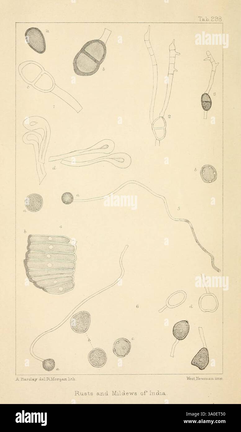 Tangled filaments hi-res stock photography and images - Alamy