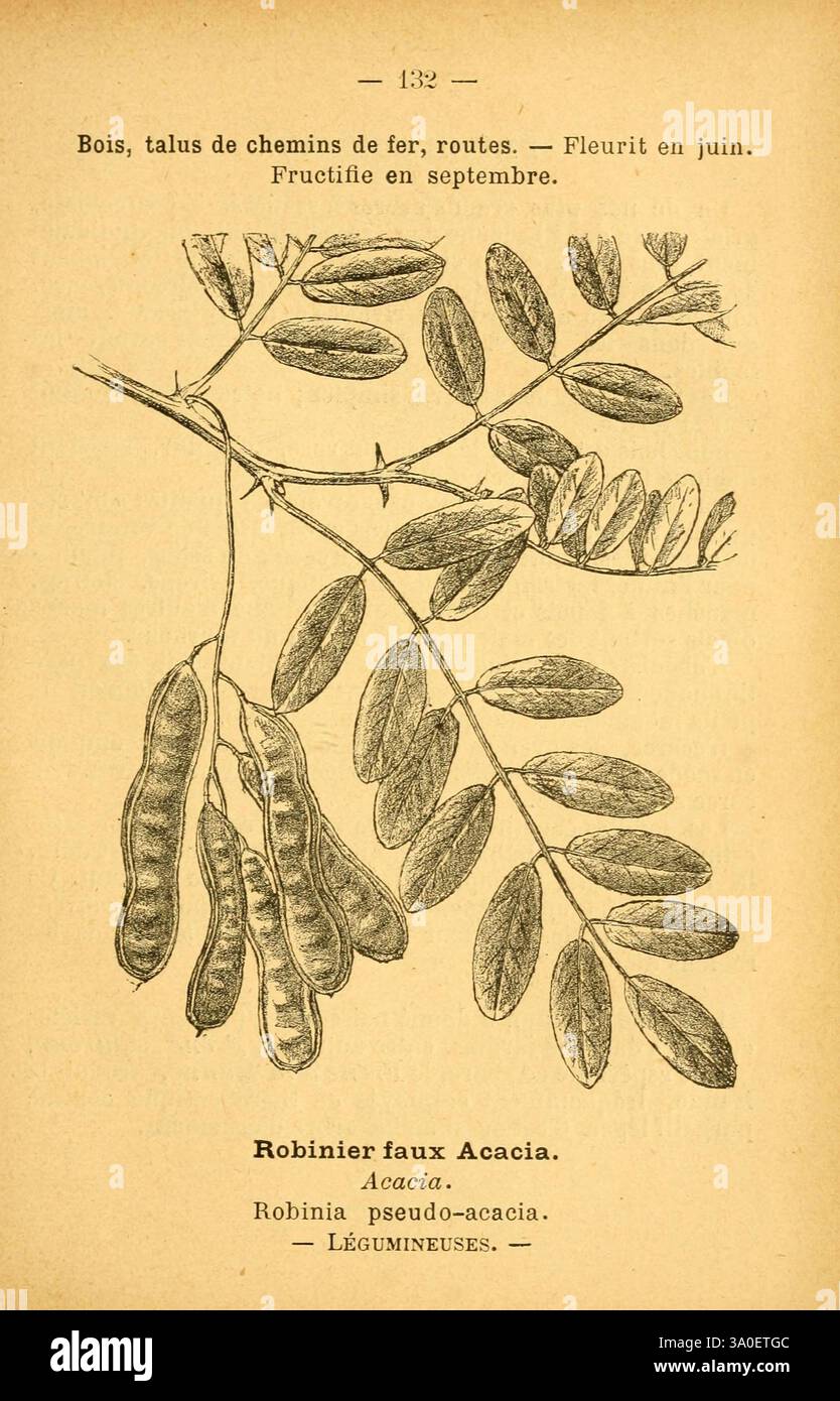 Atlas de poche des plantes des champs, des prairies et des bois, Paris ...