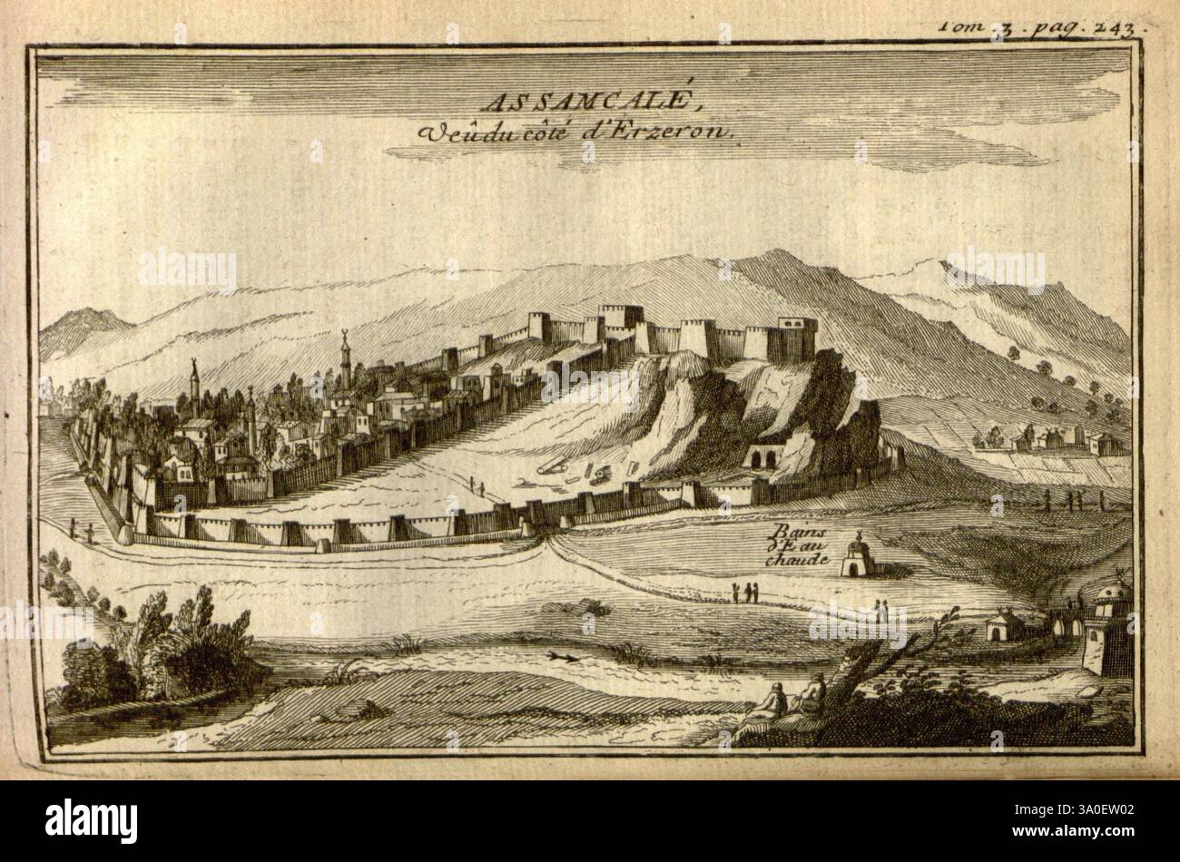 Sparse greenery dots hi-res stock photography and images - Alamy