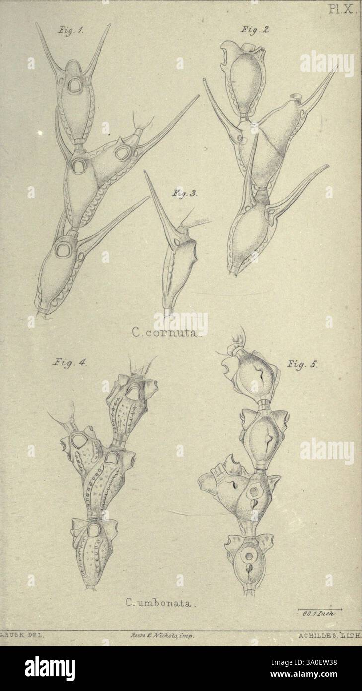 Figure highlights different angles hi-res stock photography and images ...