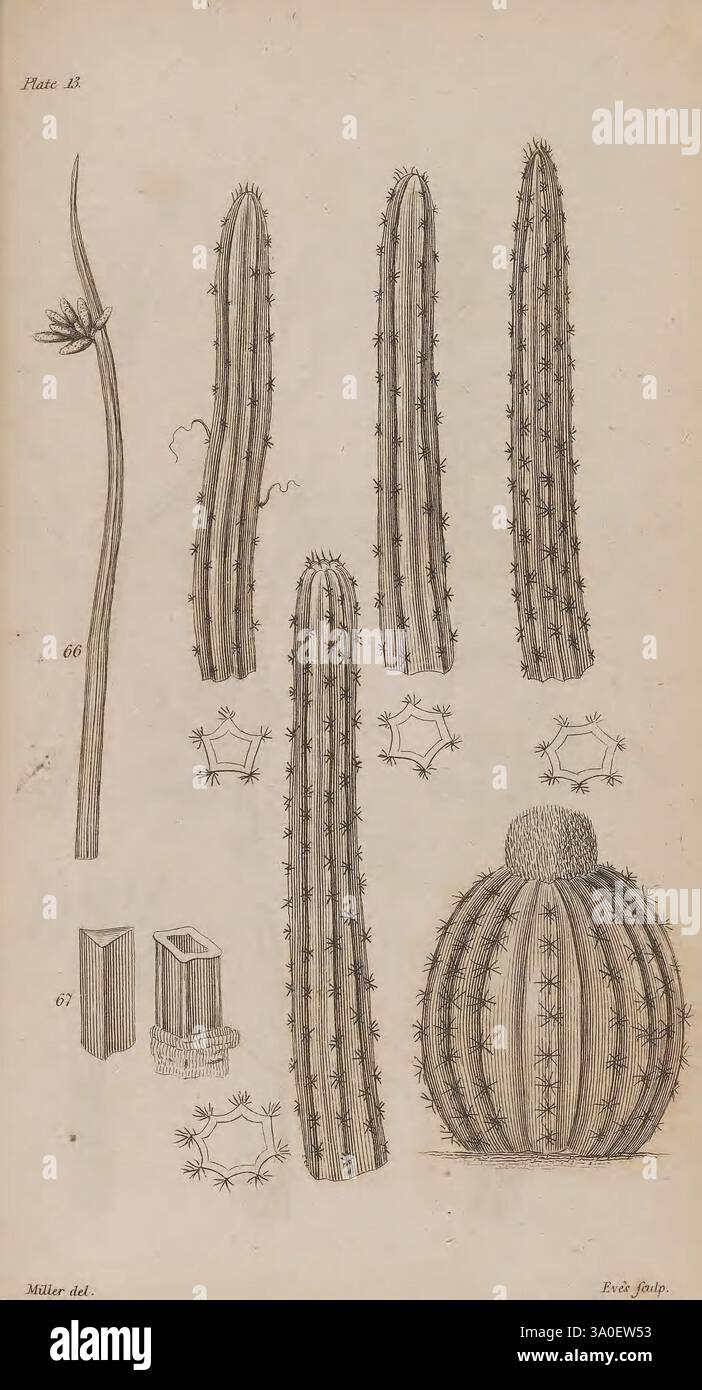 Prominent rounded form alongside tall hi-res stock photography and ...