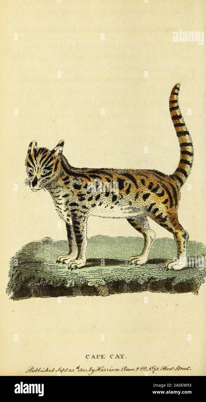 The Naturalist's Pocket Magazine or Compleat Cabinet of the Curiosities ...