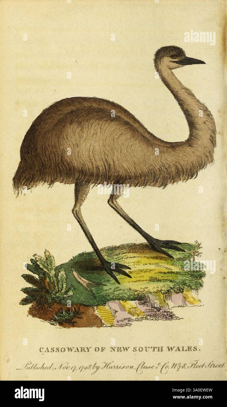 The Naturalist's Pocket Magazine or Complete Cabinet of the Curiosities ...