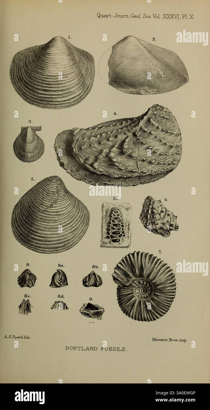 The Quarterly Journal of the Geological Society of London. v. 36 (1880 ...