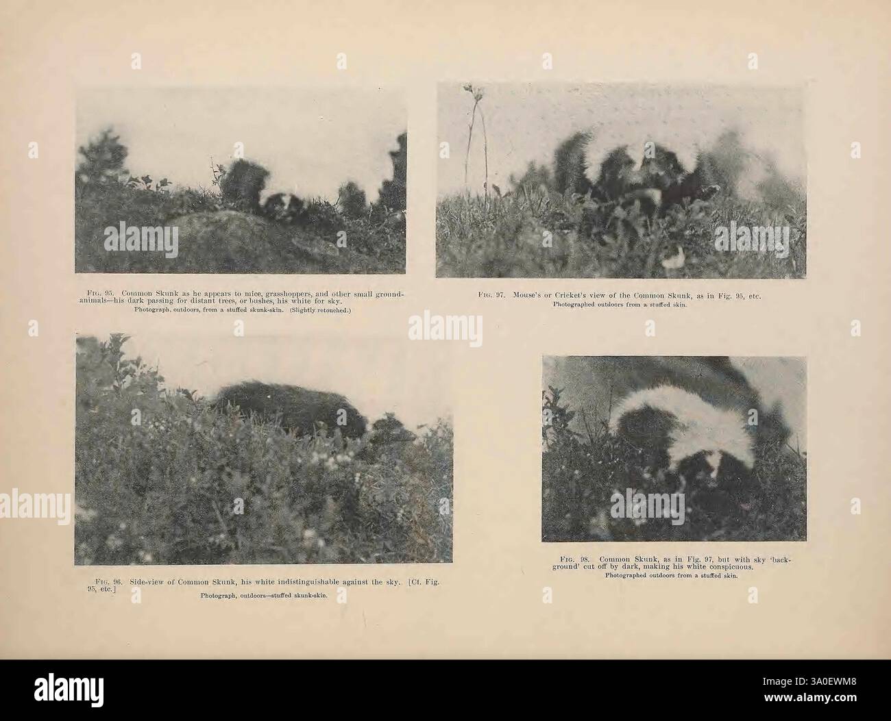 Four adjacent scenes hi-res stock photography and images - Alamy