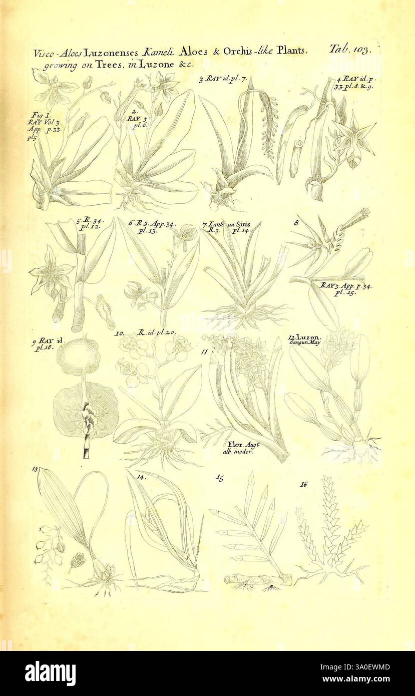 John millan bookseller 1767 natural history pictorial works pre hi-res ...