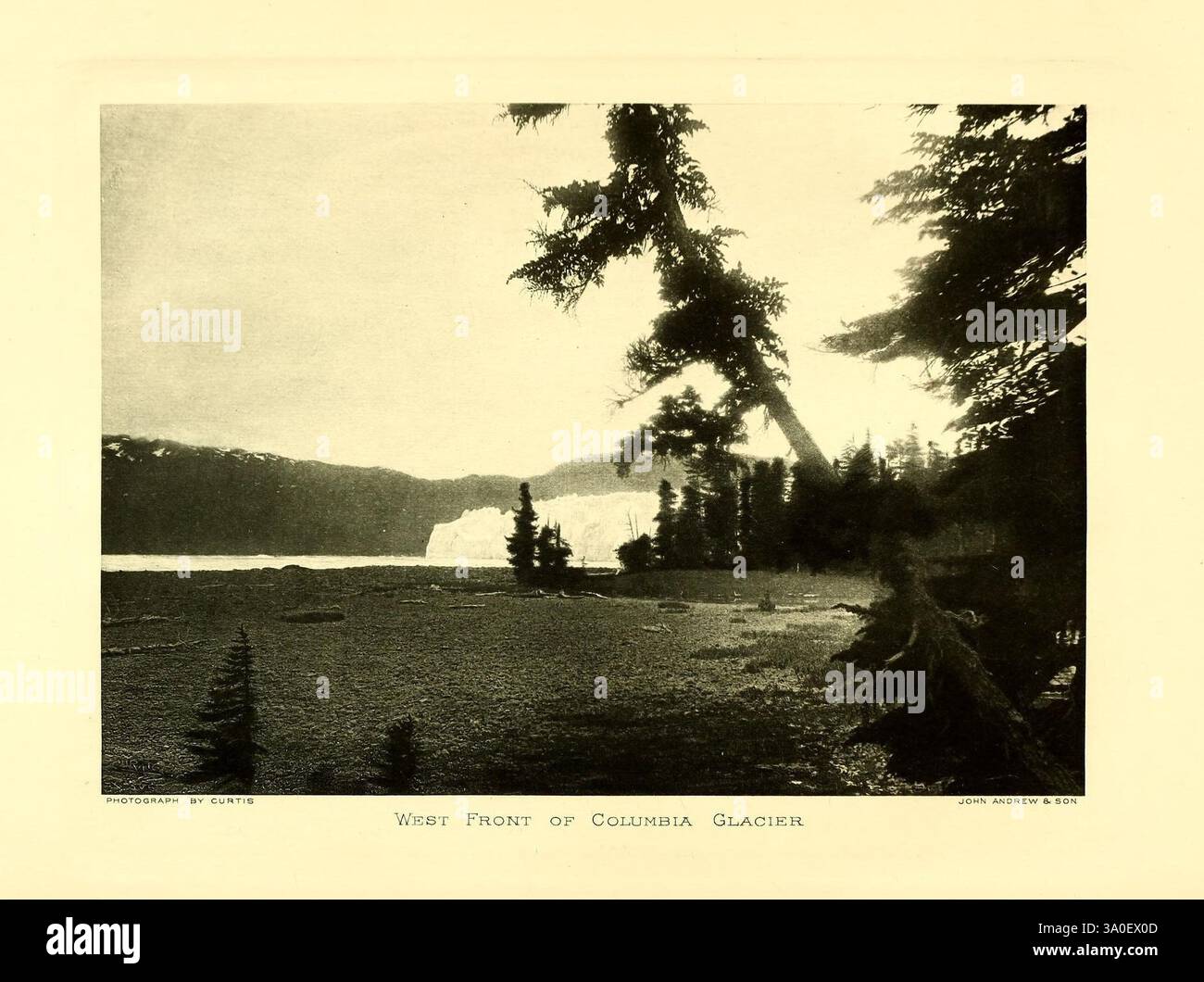 Harriman Alaska series, Washington, 1910-1914, Alaska, Natural History ...